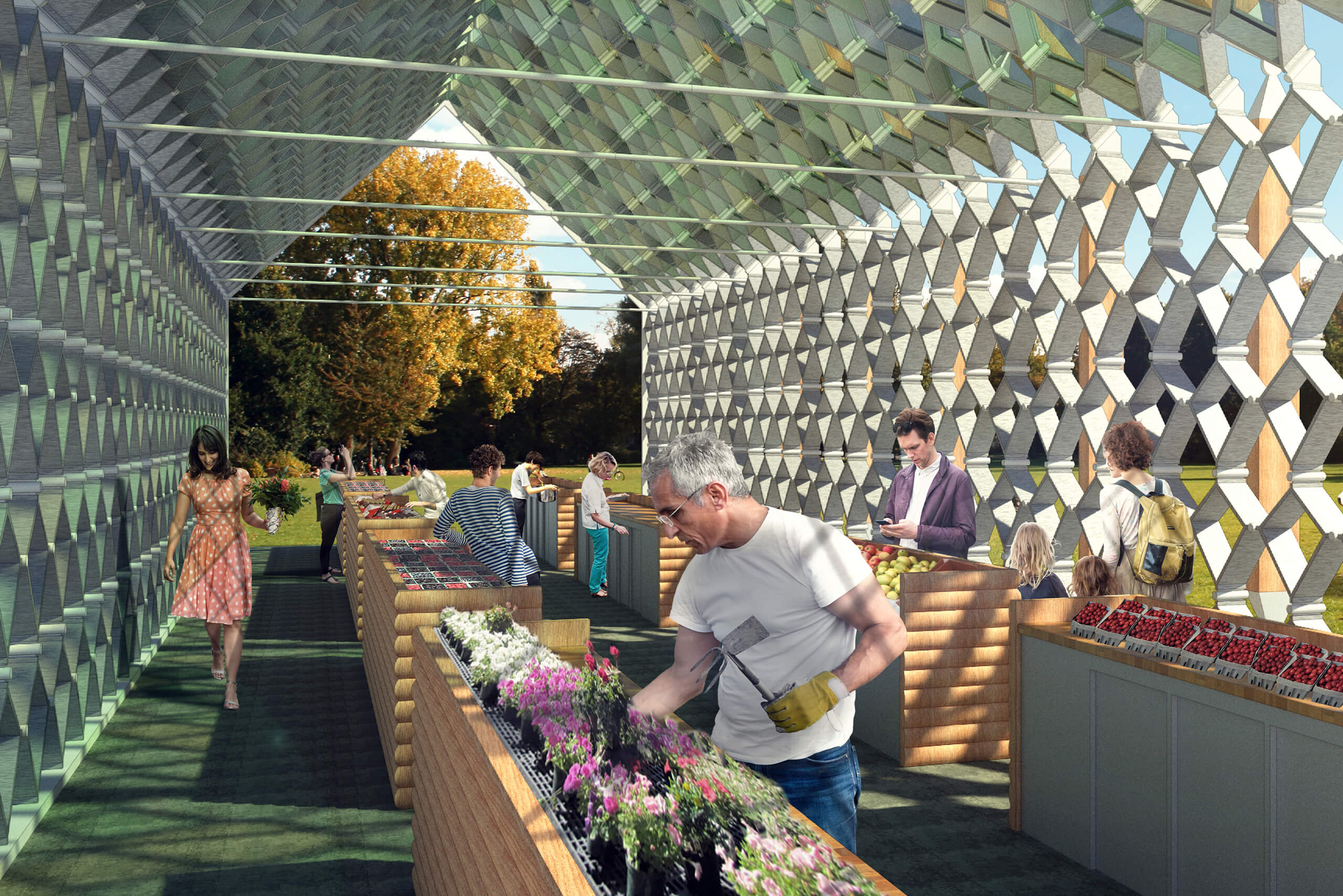 Hub rural - Confluence Architecture